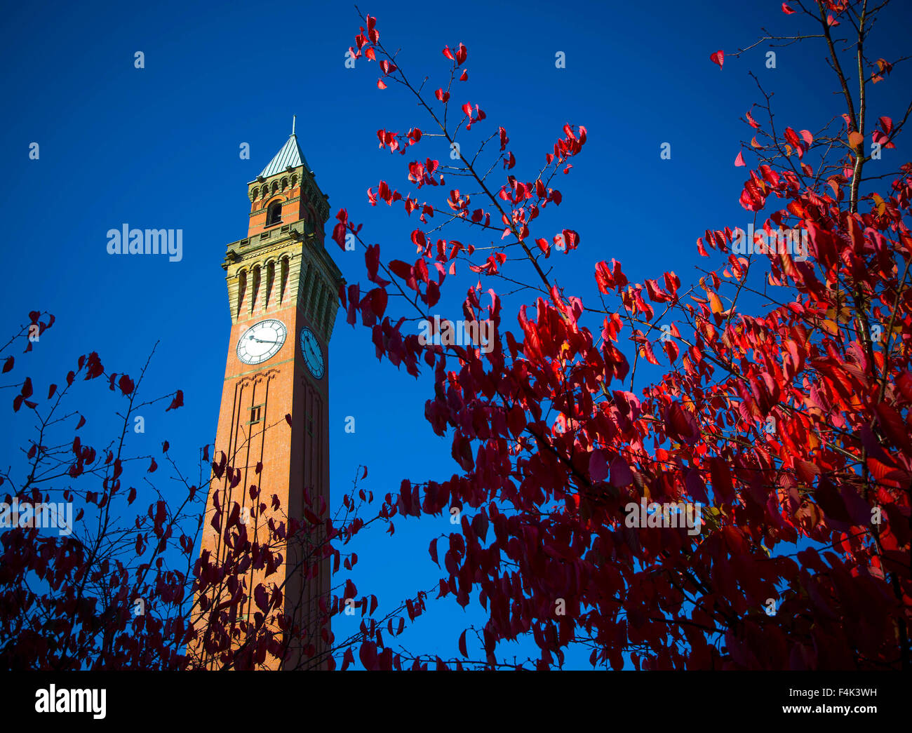 Autumn colours on the University of Birmingham campus, UK. The clock ...