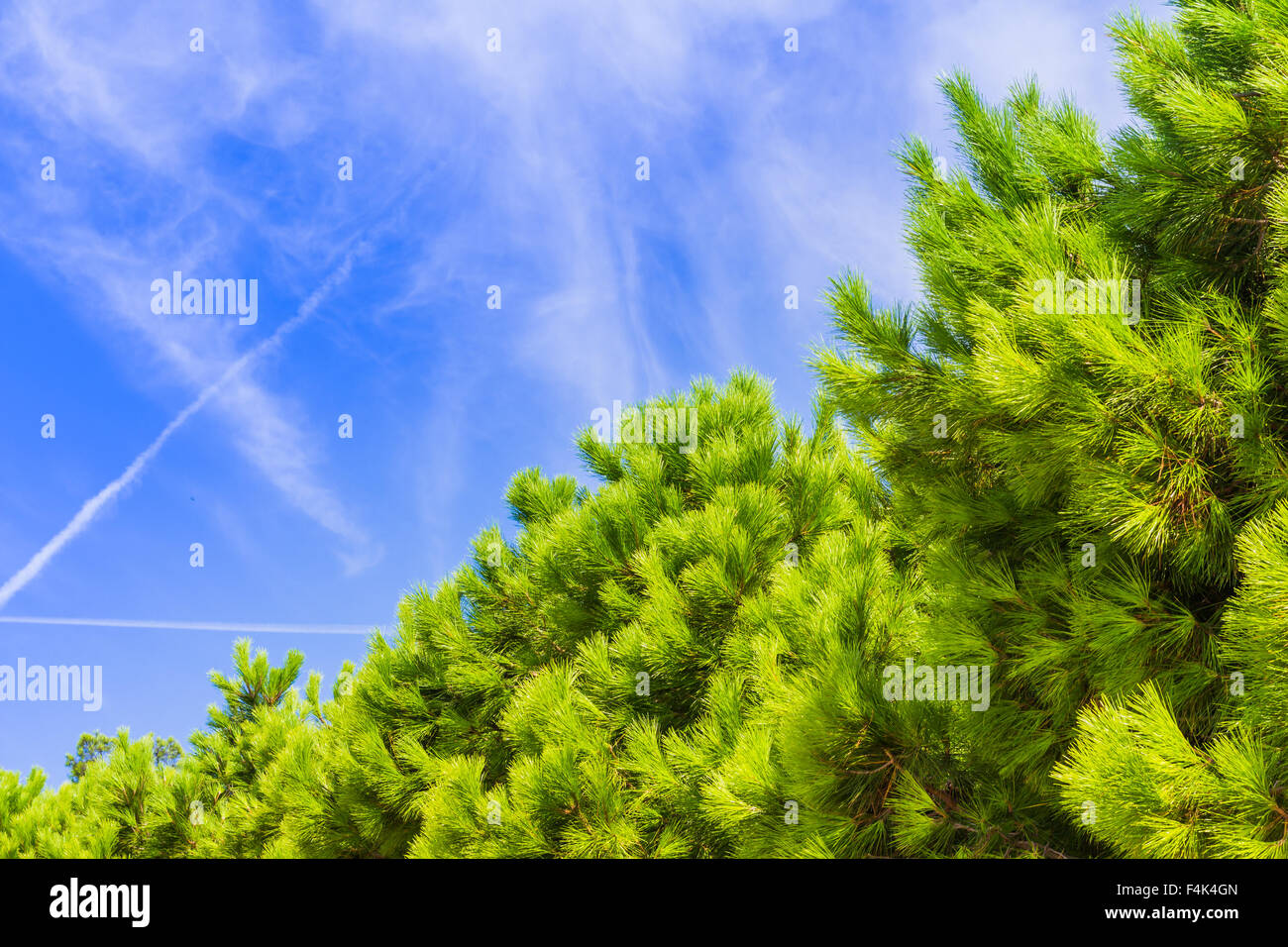 Most beautiful sky hi-res stock photography and images - Alamy