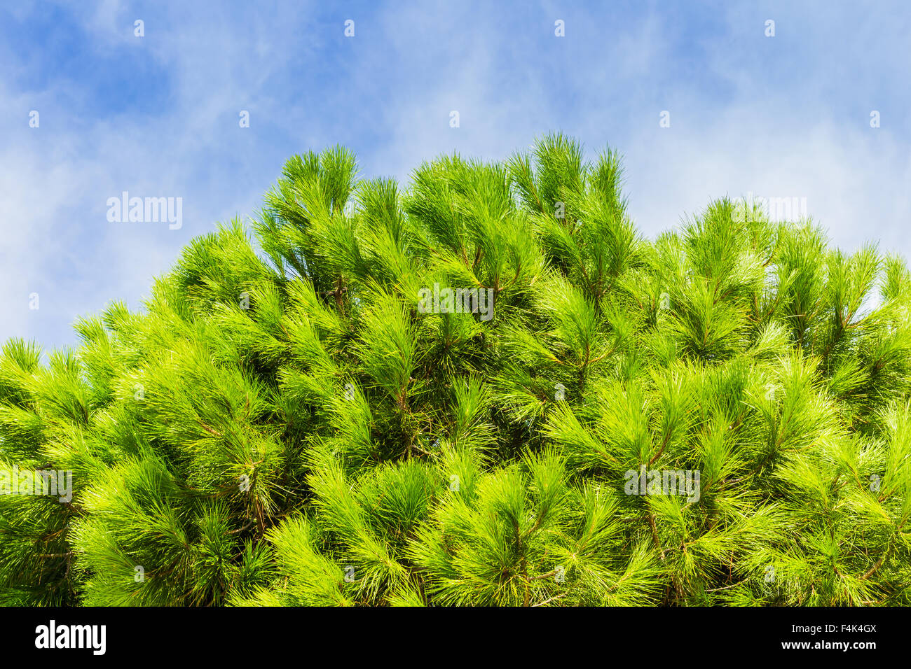 Beautiful sky rays sun hi-res stock photography and images - Alamy