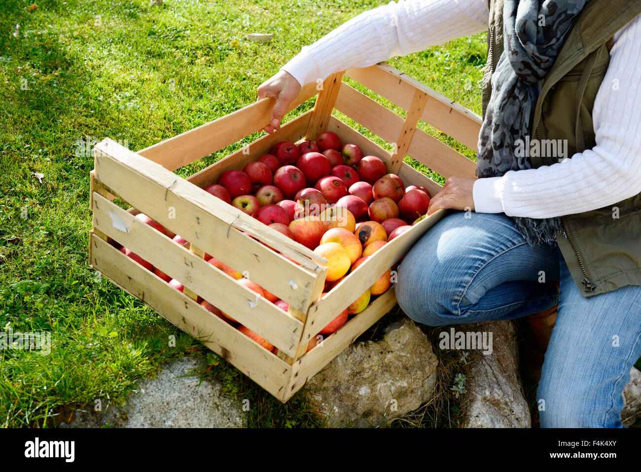 Women showing basket hi-res stock photography and images - Alamy