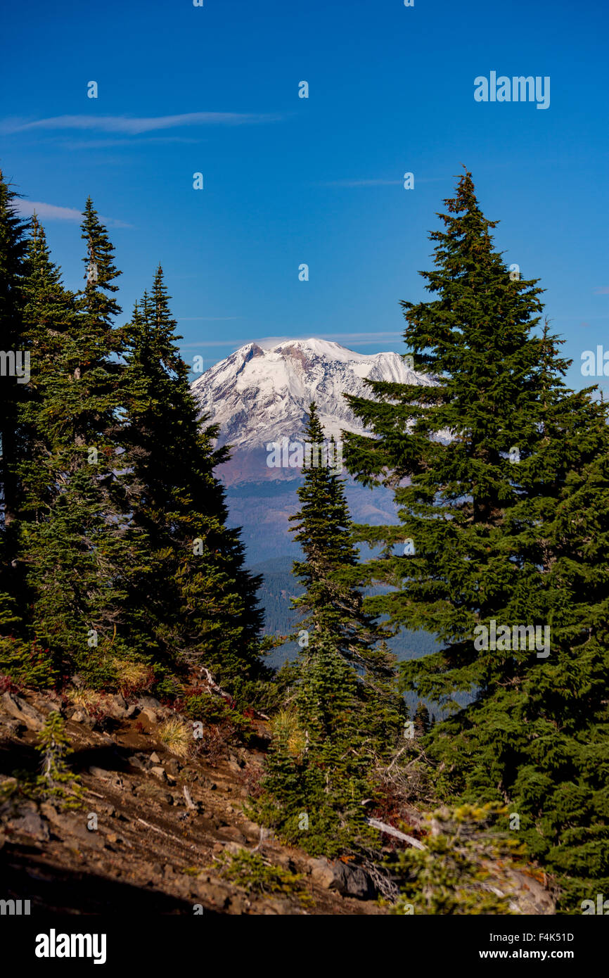Mount Adams Washington Elevation