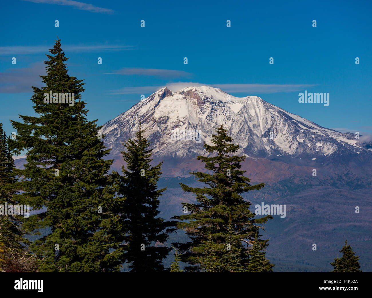 GIFFORD PINCHOT NATIONAL FOREST, WASHINGTON, USA - Mount Adams ...