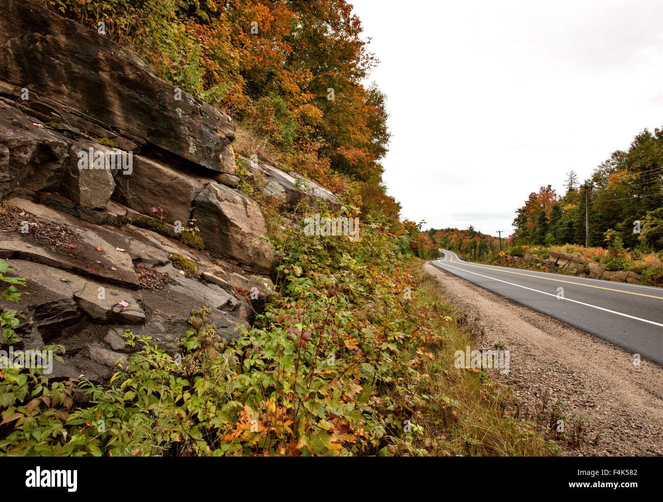 Algonquin Park Muskoka Ontario fall autumn colors Stock Photo - Alamy
