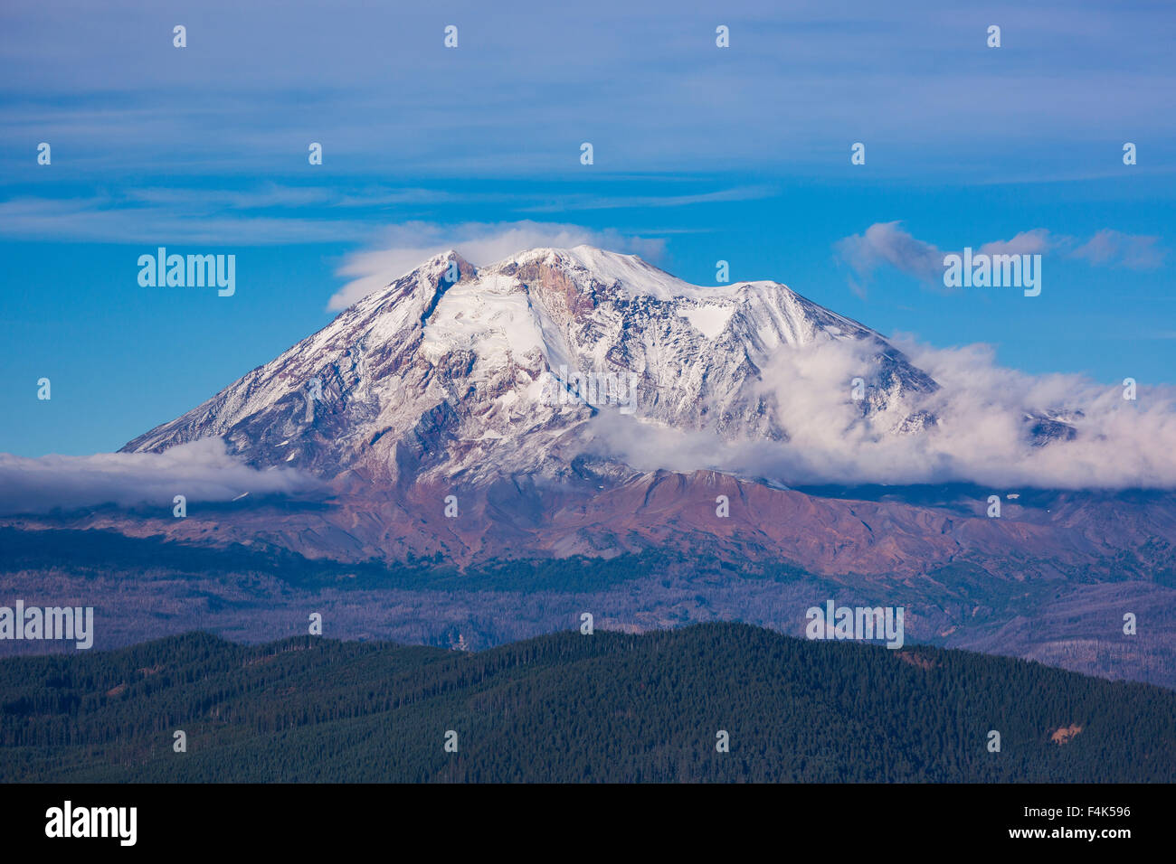 Mount Adams Fumaroles On
