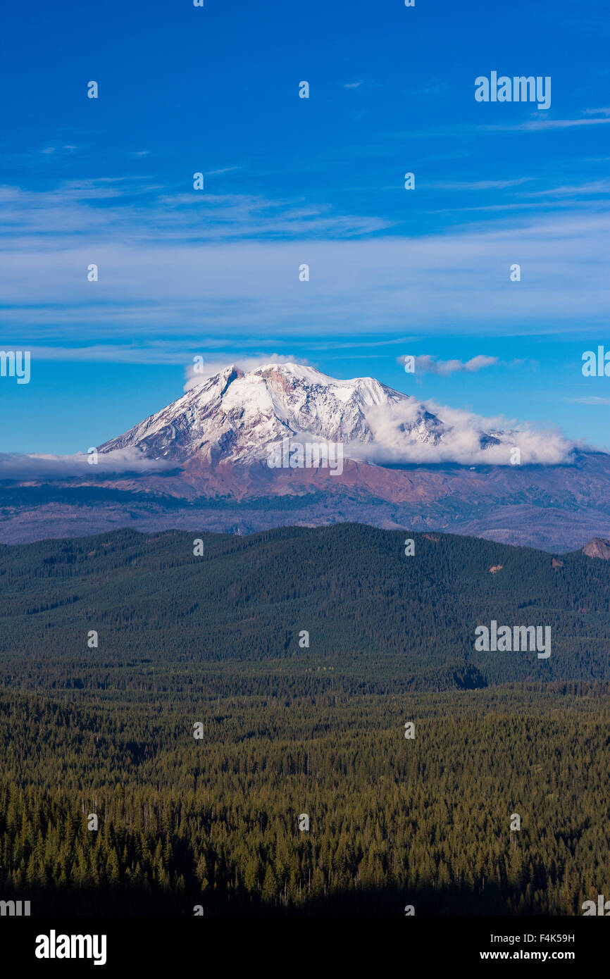Mount Adams Washington Elevation