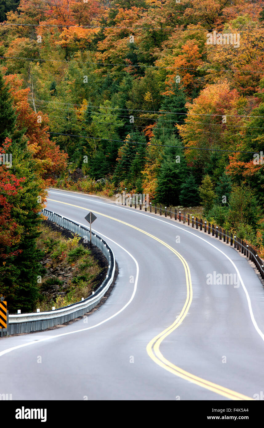 Algonquin Park Muskoka Ontario fall autumn colors Stock Photo - Alamy