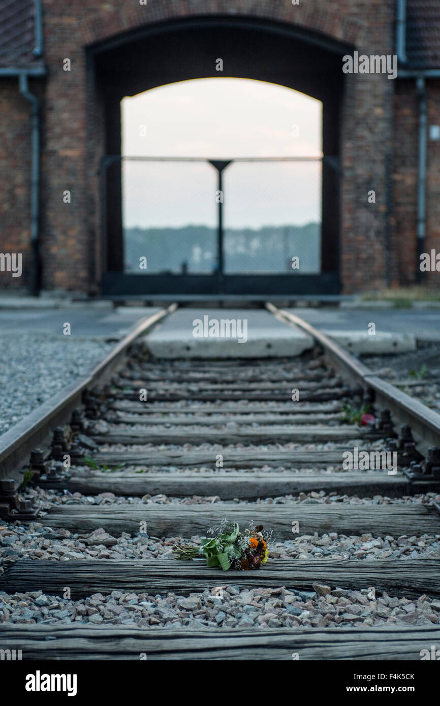 Flowers at the entrance Concentration camp Auschwitz II-Birkenau ...