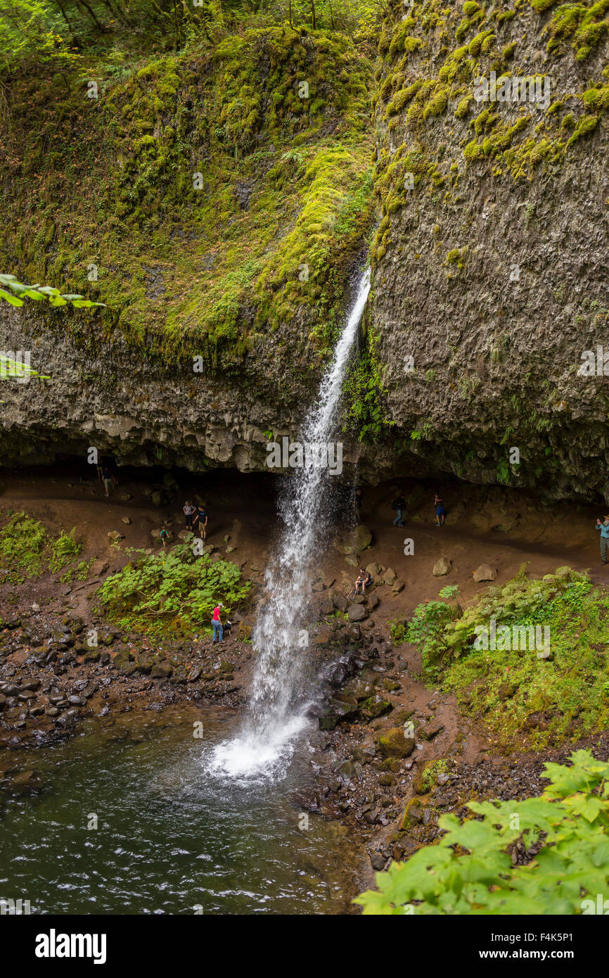 COLUMBIA RIVER GORGE, OREGON, USA - Horsetail Falls, waterfall in ...