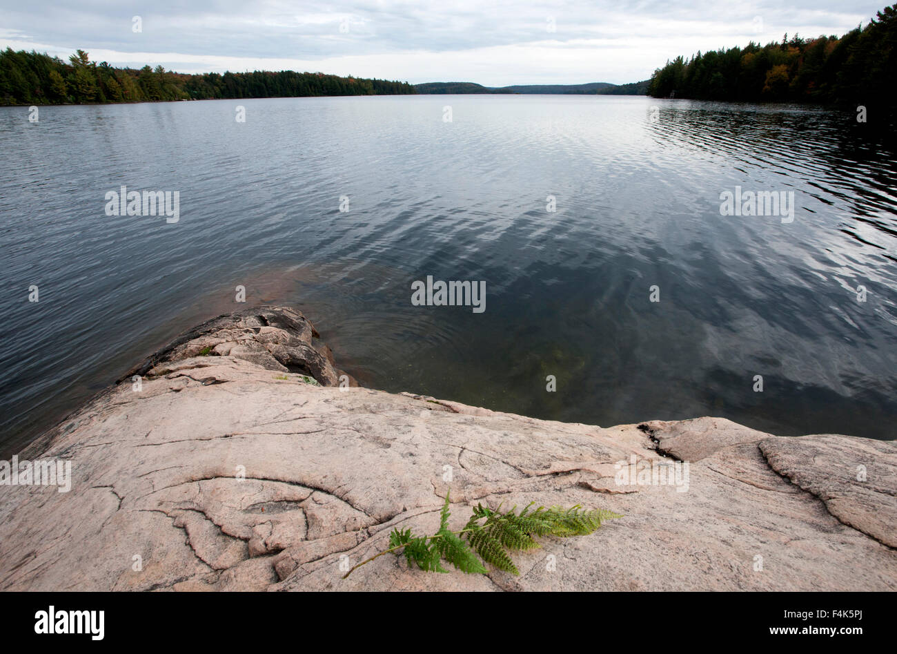 Algonquin Park Muskoka Ontario fall autumn colors Stock Photo - Alamy