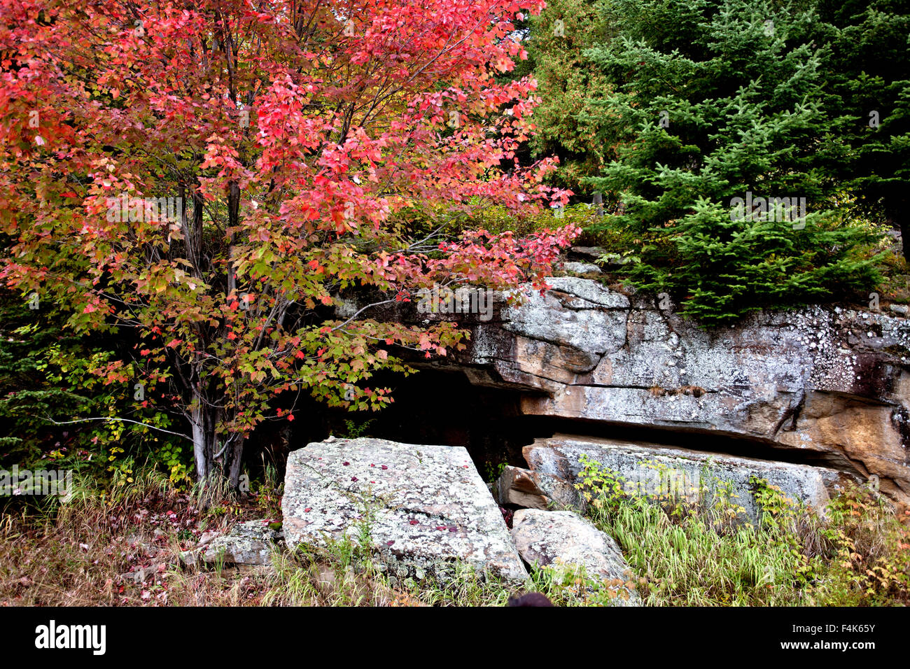 Algonquin Park Muskoka Ontario fall autumn colors Stock Photo - Alamy