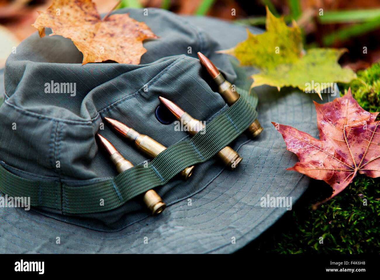bunch of bullets lying in a military hat Stock Photo - Alamy
