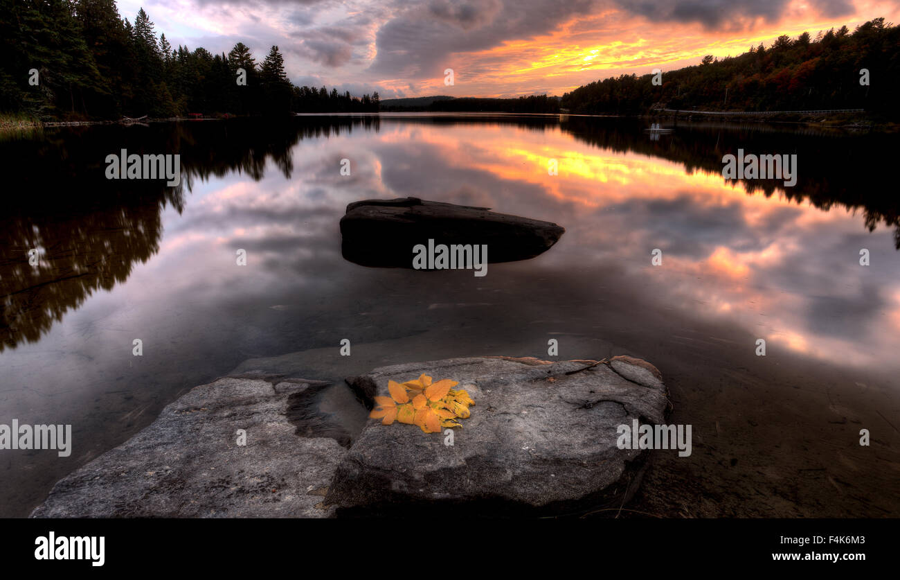 Algonquin Park Muskoka Ontario fall autumn colors Stock Photo - Alamy
