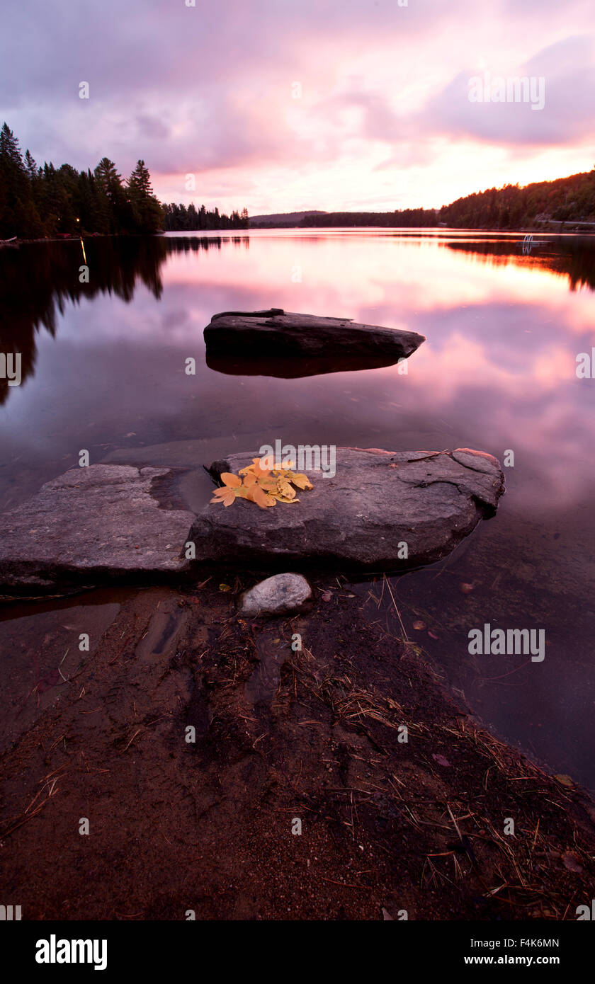 Algonquin Park Muskoka Ontario fall autumn colors Stock Photo - Alamy
