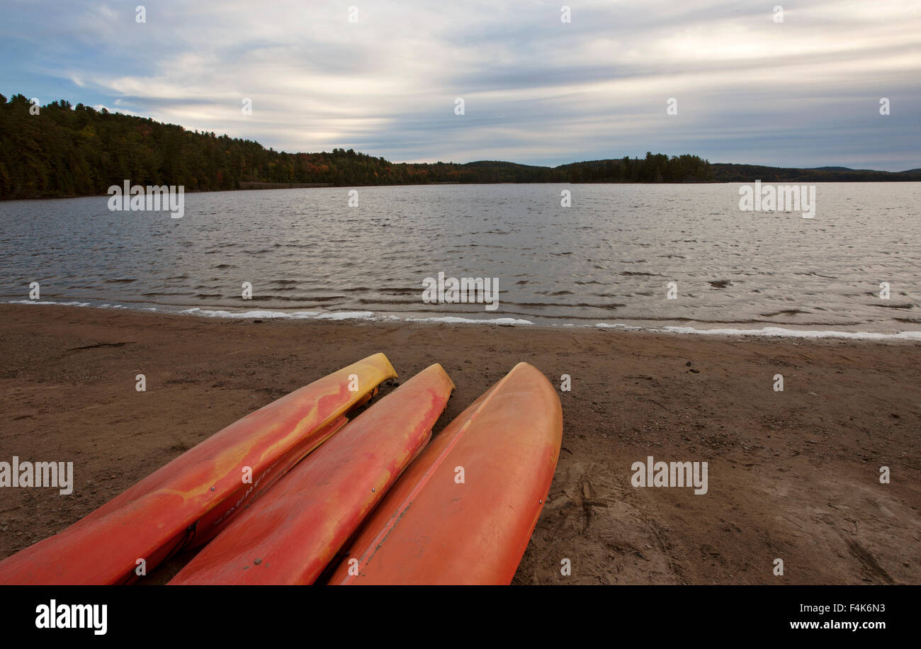 Algonquin Park Muskoka Ontario fall autumn colors Stock Photo - Alamy