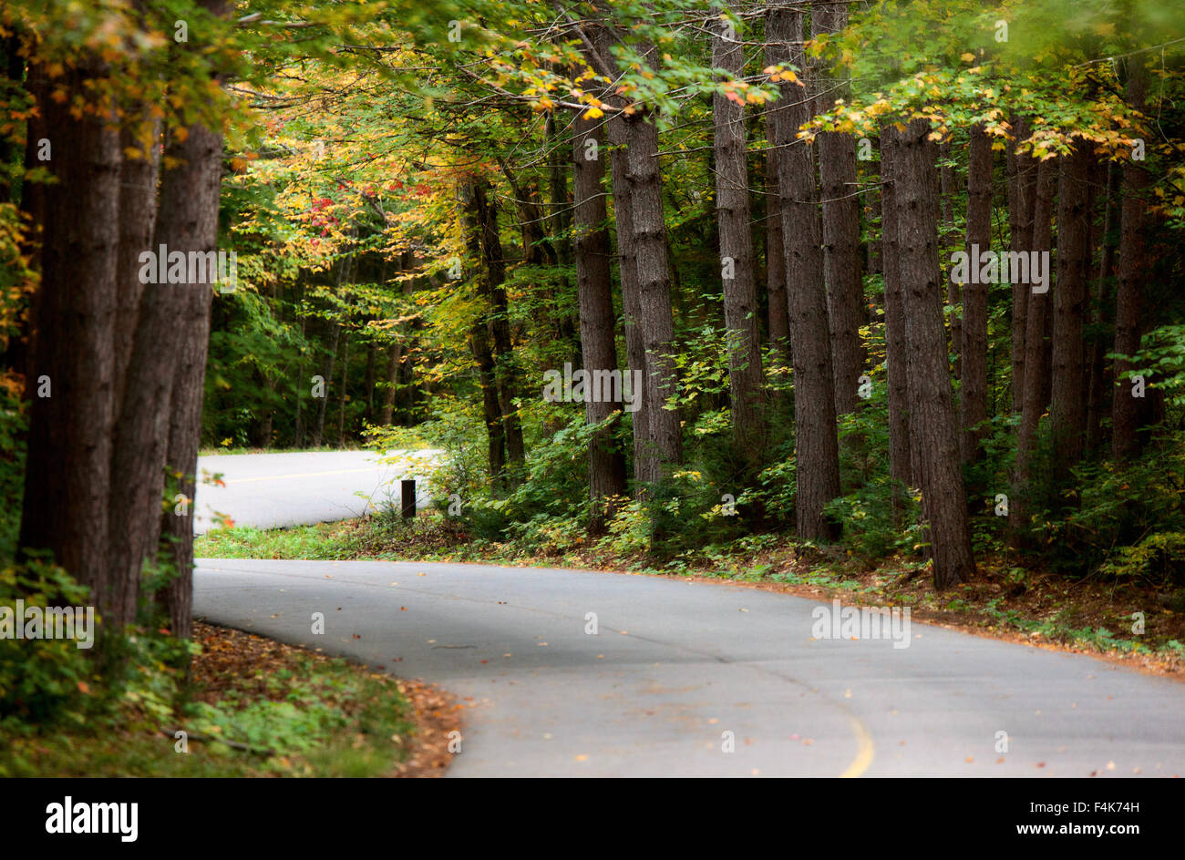 Algonquin Park Muskoka Ontario fall autumn colors Stock Photo - Alamy