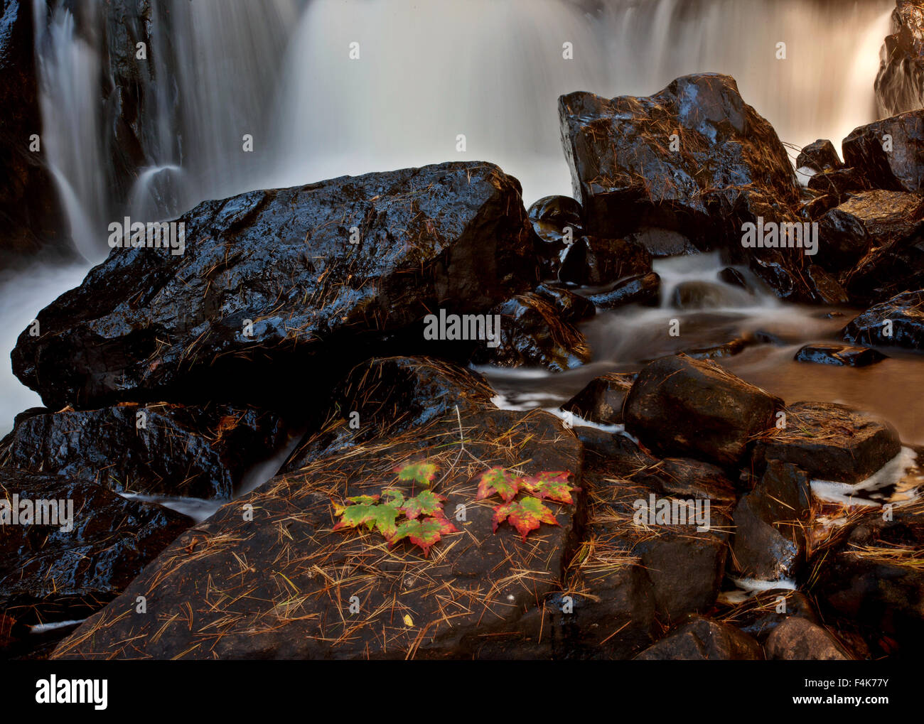 Algonquin Park Muskoka Ontario fall autumn colors Stock Photo - Alamy