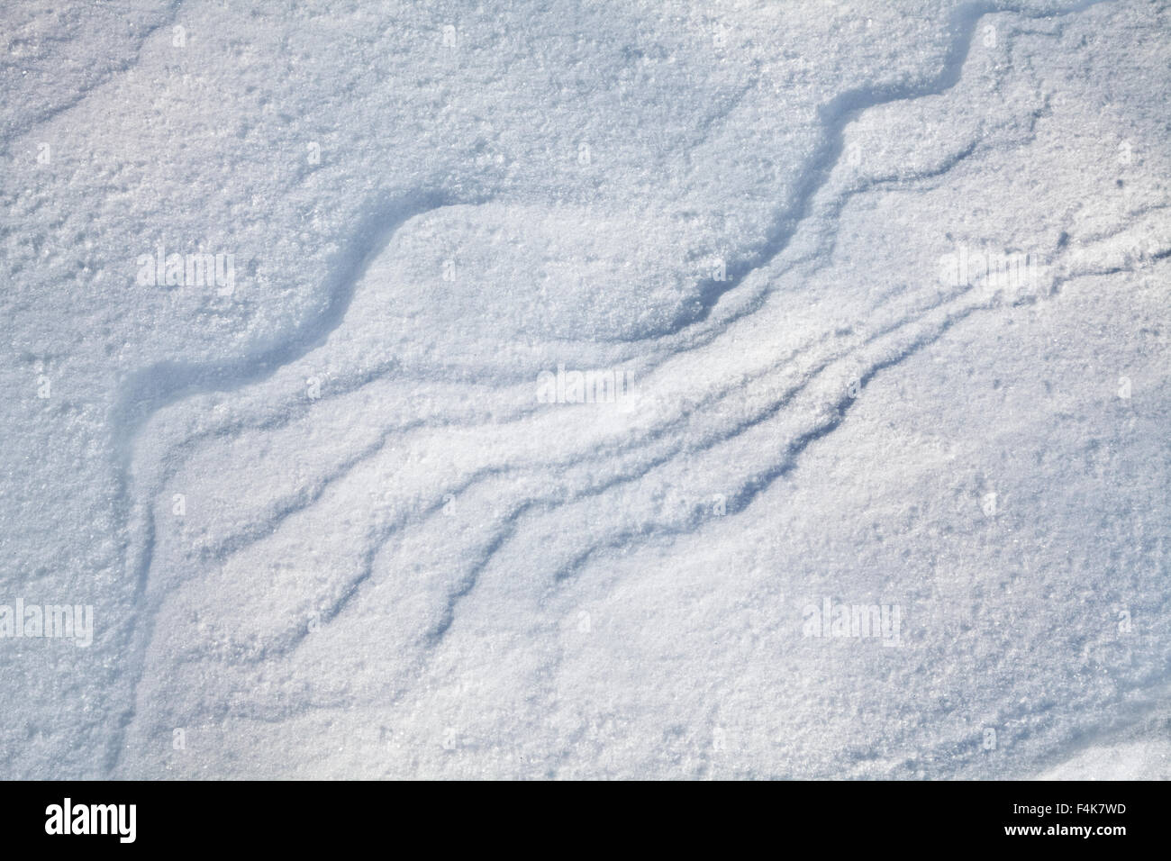 Surface of snow crust on a windy day Stock Photo - Alamy