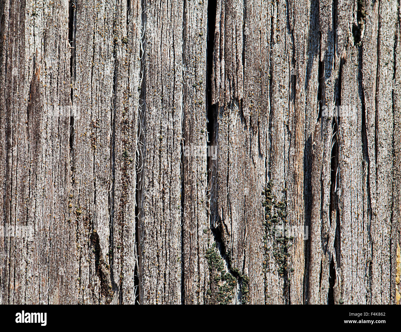 Old cracked wood hi-res stock photography and images - Alamy