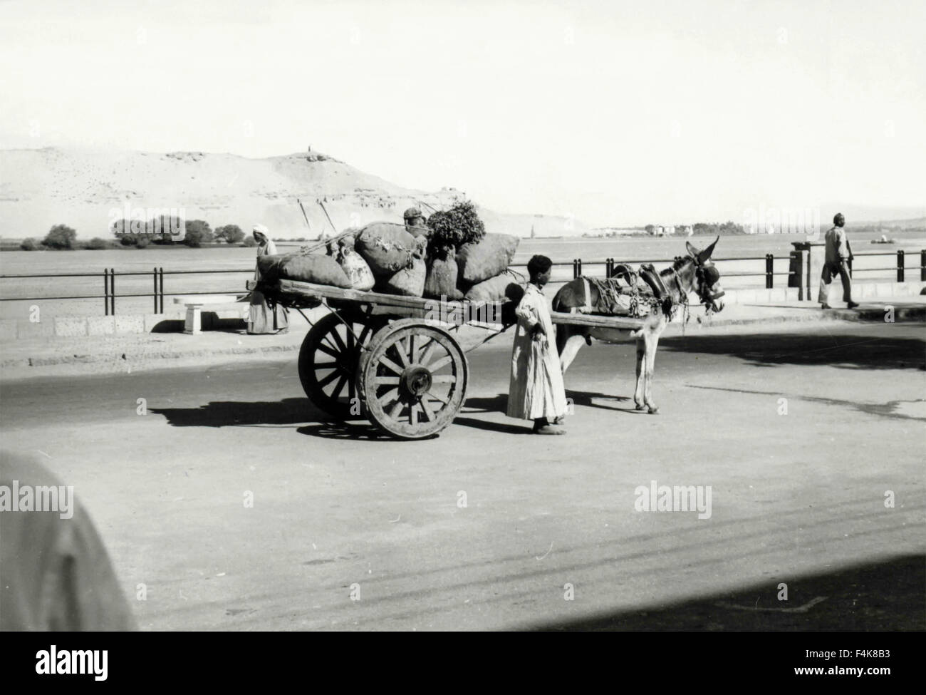 Cart in Aswan, Egypt Stock Photo - Alamy