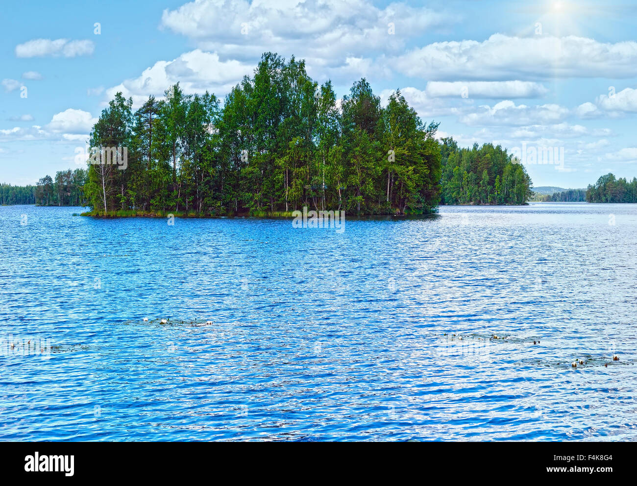Lake Rutajarvi summer view with forest on the edge (Urjala, Finland ...