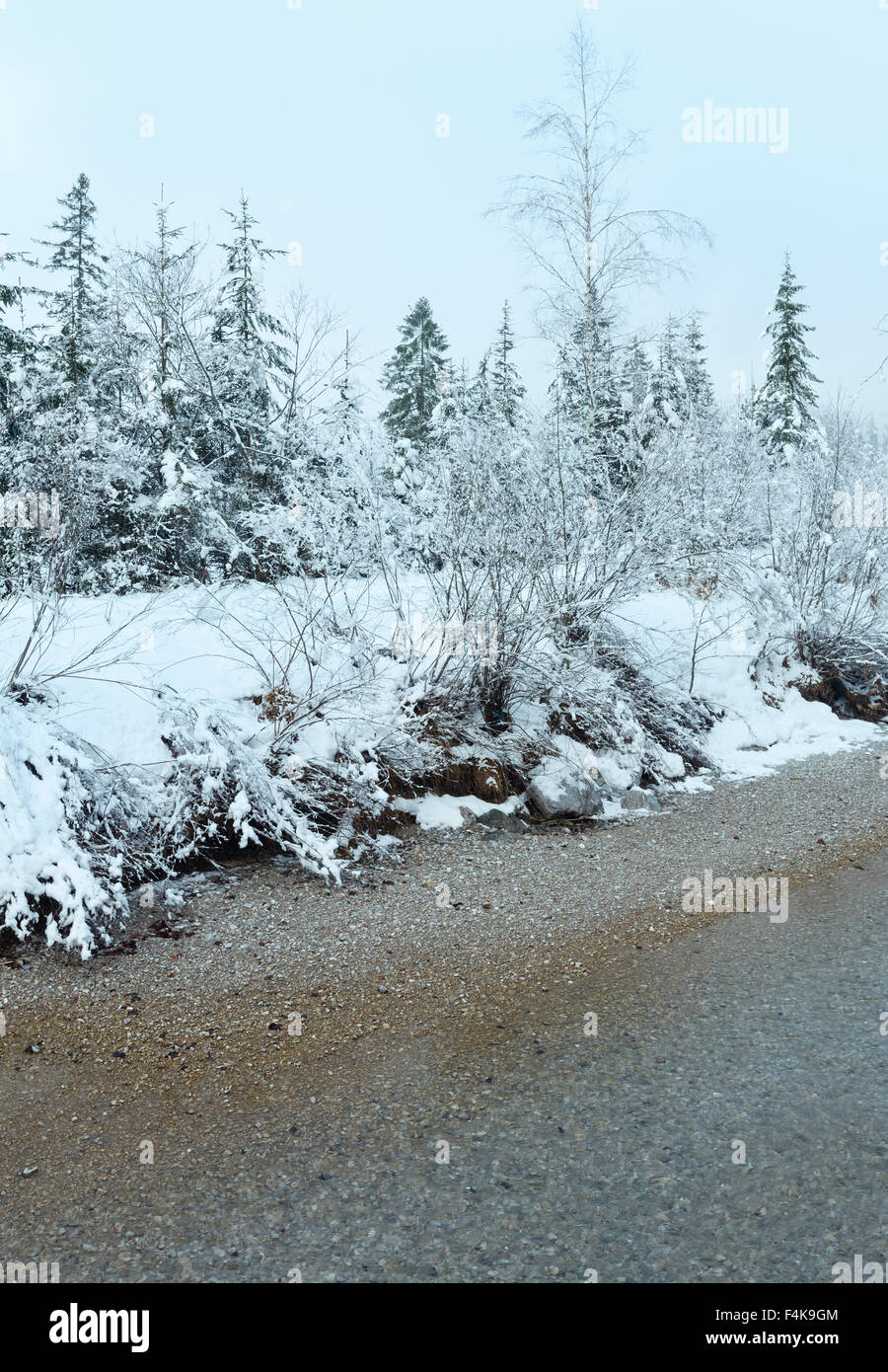 Small winter stream and snowy trees on bank. Cloudy weather Stock Photo ...