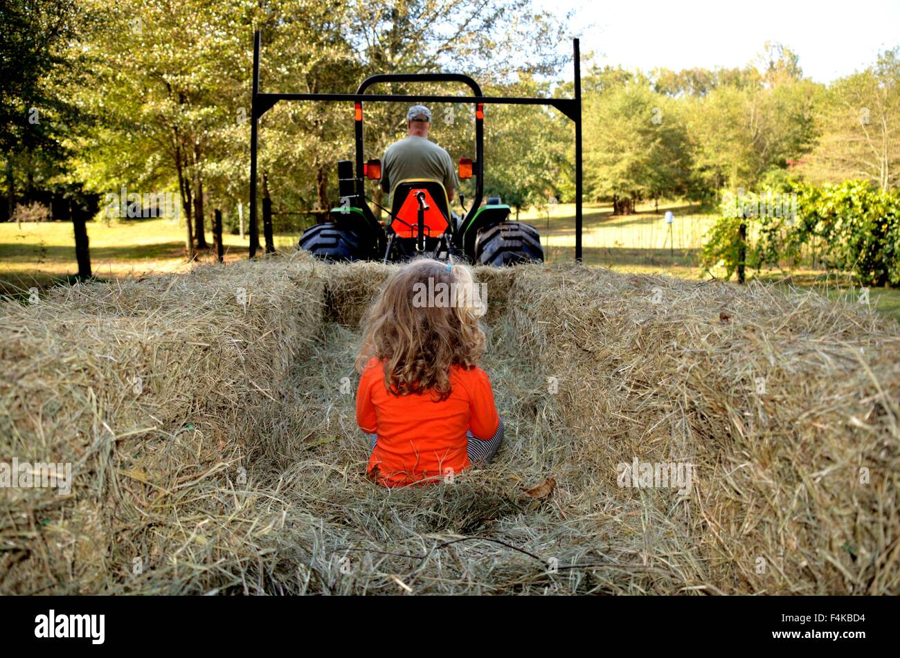 Young toddler girl going for a hay ride Stock Photo - Alamy