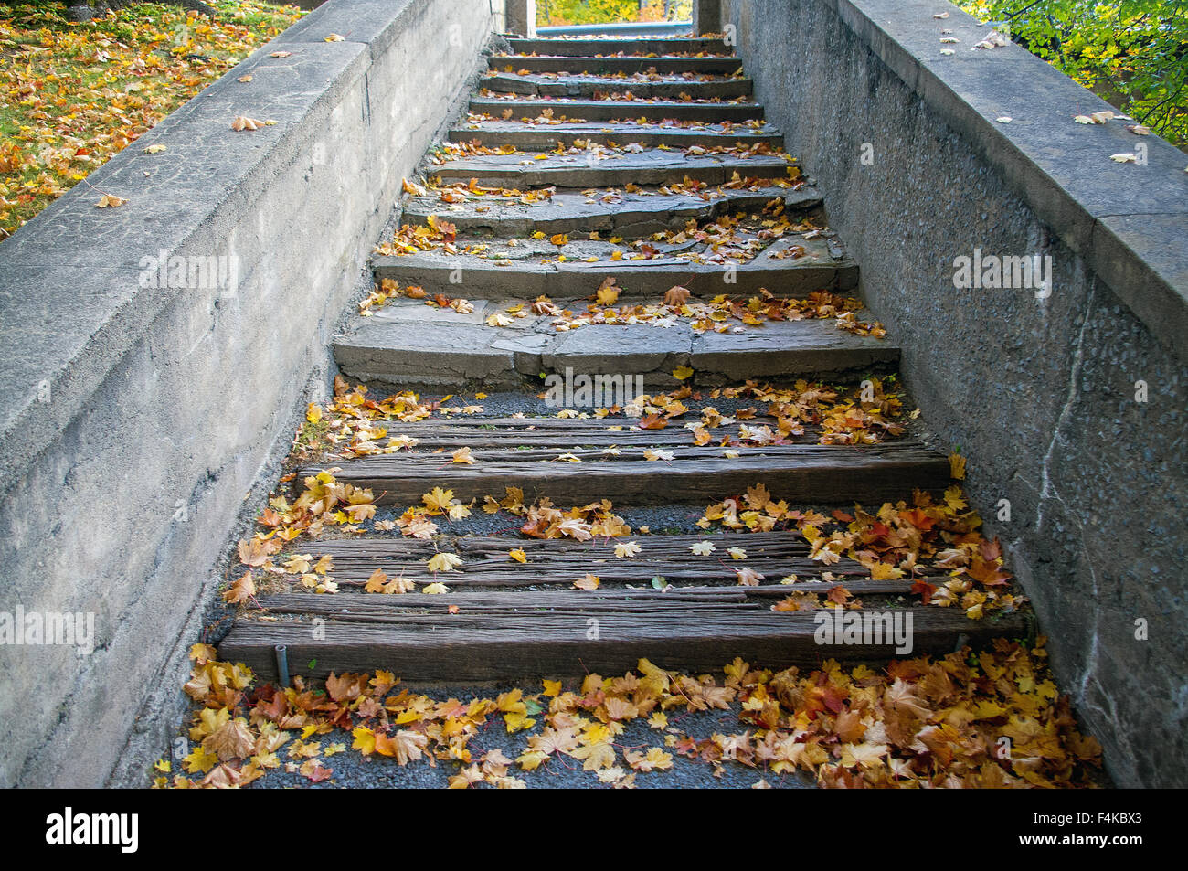 Park steps hi-res stock photography and images - Alamy