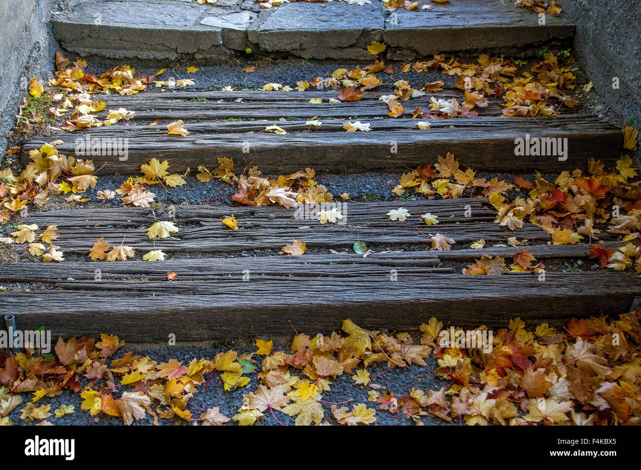 Outdoor park path hi-res stock photography and images - Alamy