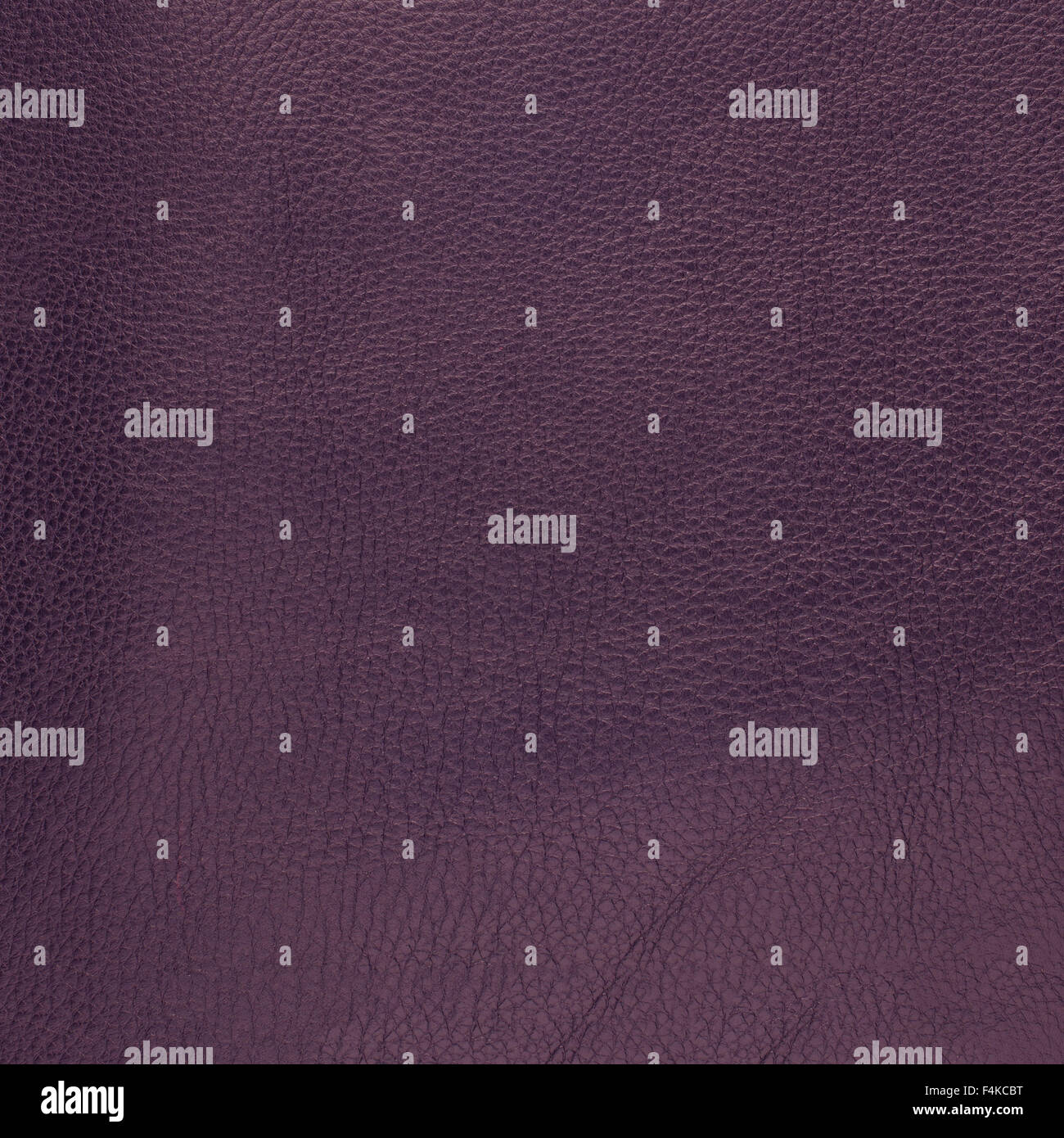 Closeup detail of violet leather texture to background Stock Photo - Alamy