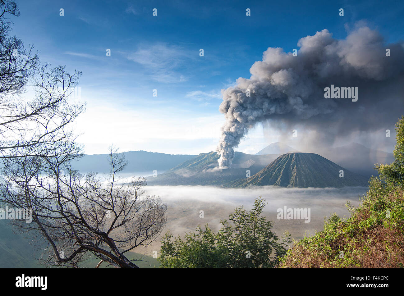 Mount semeru eruption hi-res stock photography and images - Alamy
