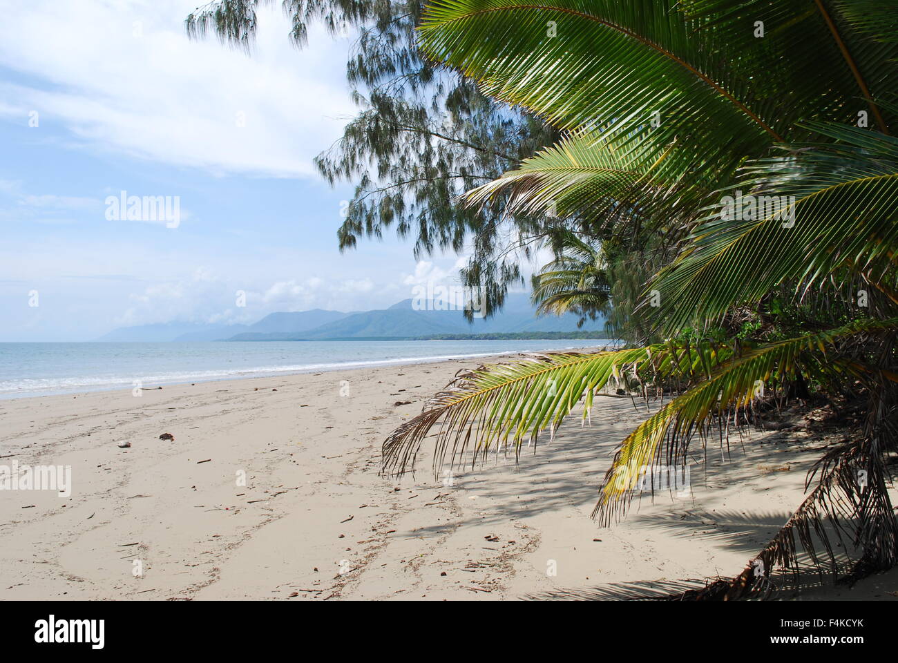 Four Mile Beach in Port Douglas, Queensland, Australia Stock Photo - Alamy
