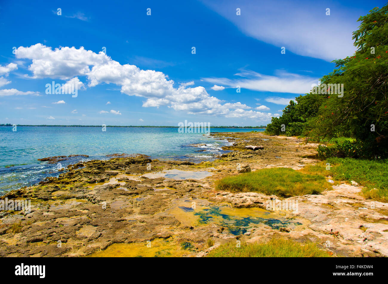 Bay of pigs invasion beach hi-res stock photography and images - Alamy