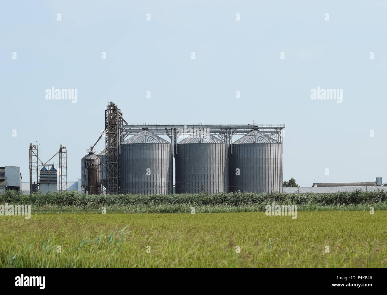 Plant for storage and processing of grain Stock Photo - Alamy