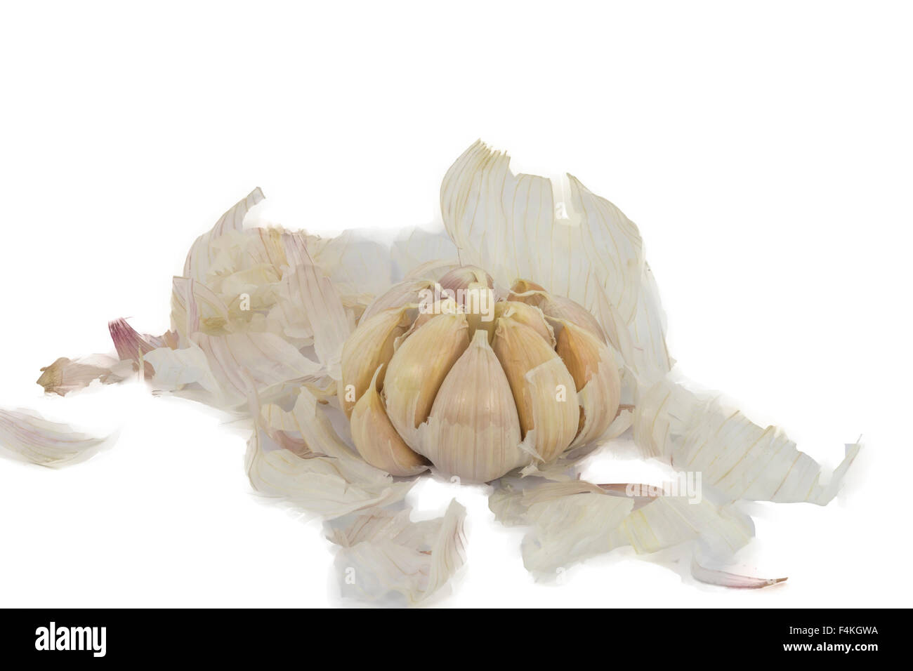 Garlic half head hi-res stock photography and images - Alamy