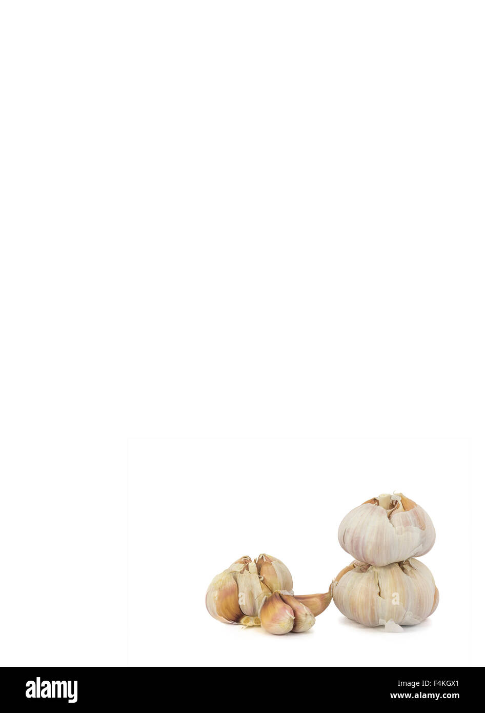 garlic isolated on white background Stock Photo - Alamy