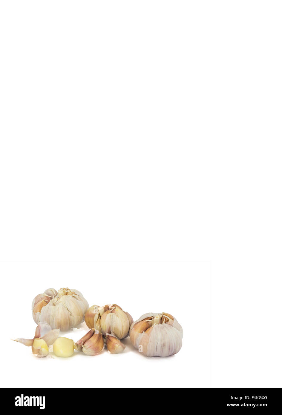 garlic isolated on white background Stock Photo - Alamy