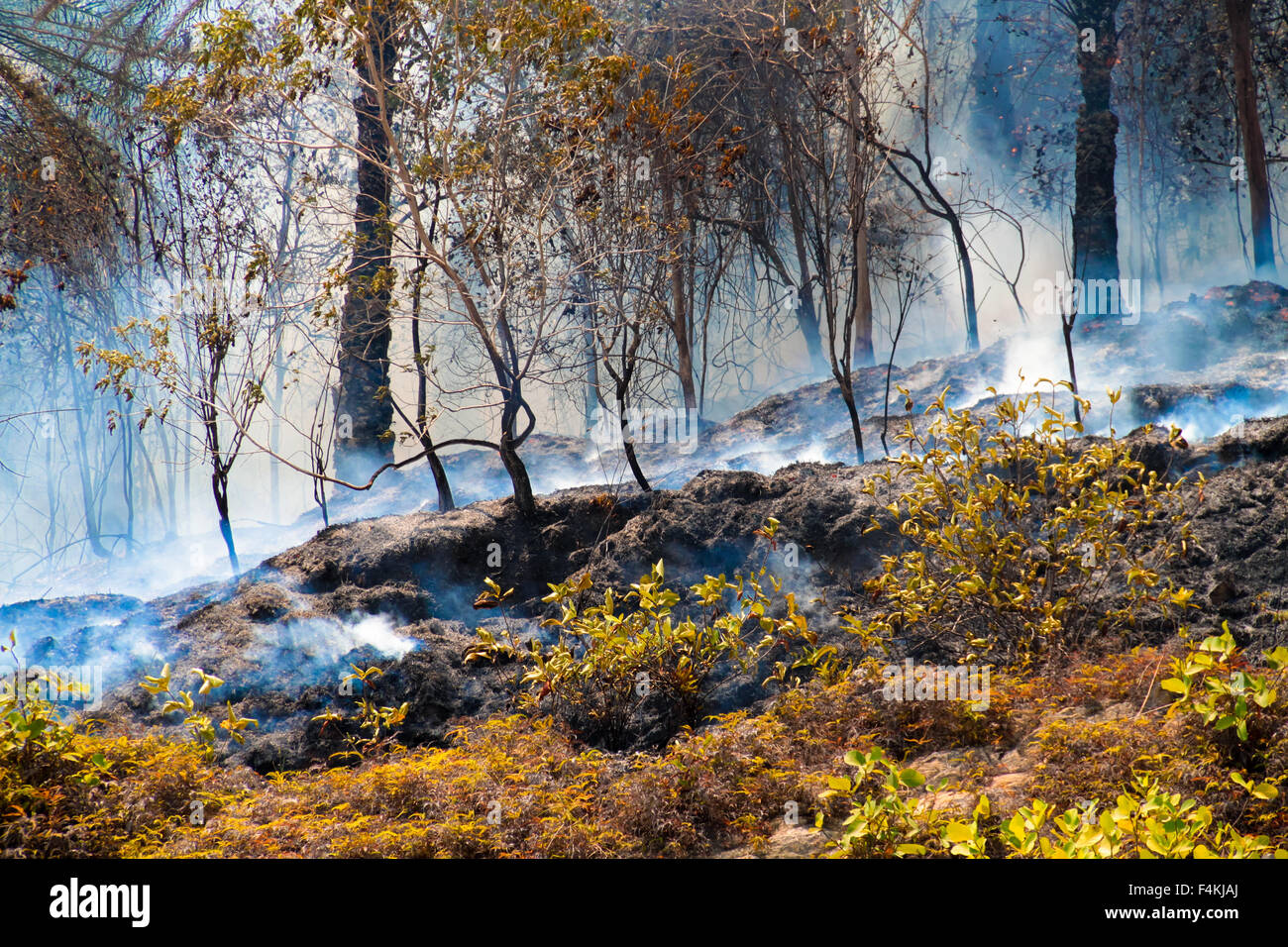 Fire cause by drought season on a hill side Stock Photo - Alamy