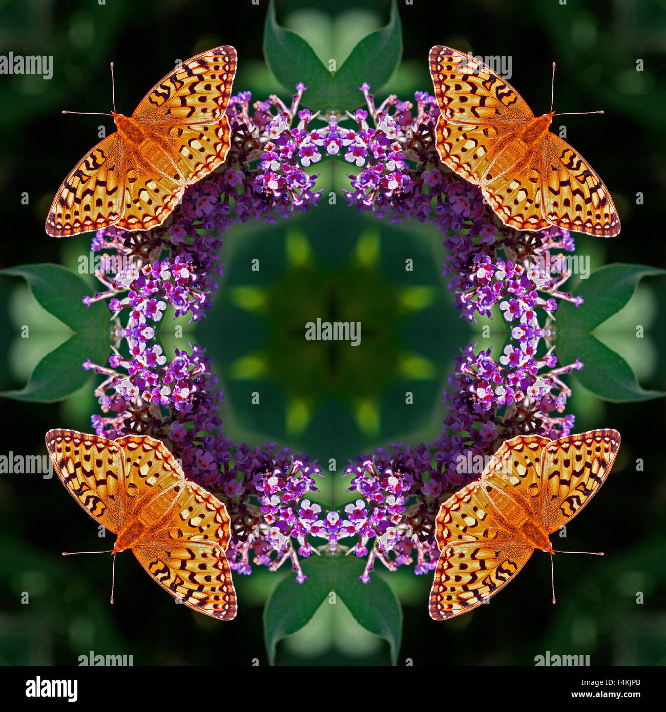 Experimental colour photograph hi-res stock photography and images - Alamy