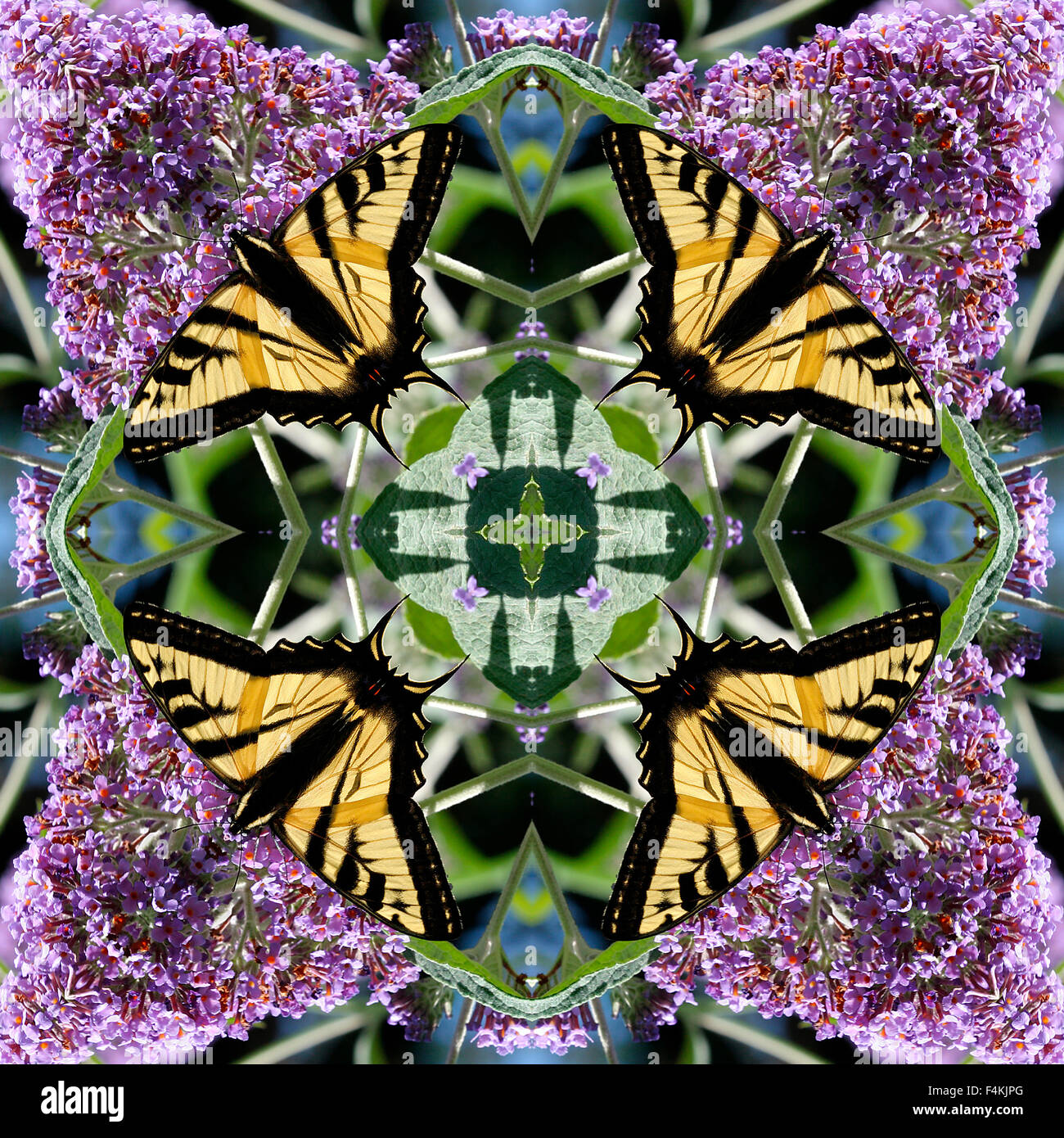 Experimental colour photograph hi-res stock photography and images - Alamy