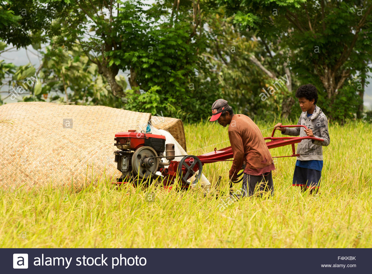Man Plowing Stock Photos & Man Plowing Stock Images - Alamy