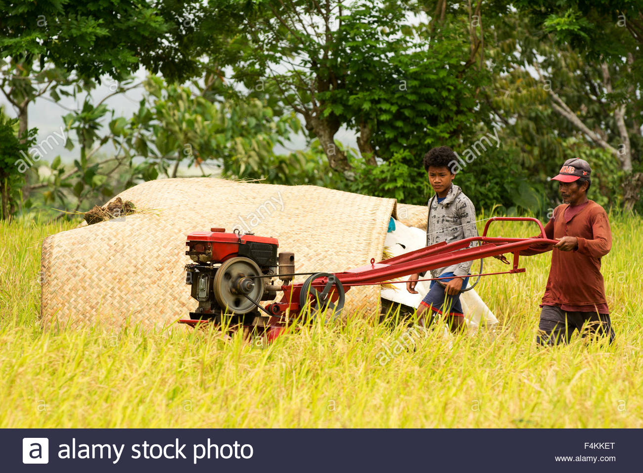 Man Plowing Stock Photos & Man Plowing Stock Images - Alamy