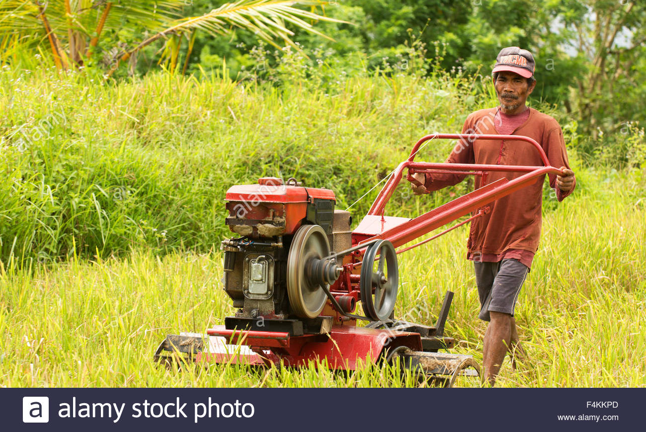 Man Plowing Stock Photos & Man Plowing Stock Images - Alamy