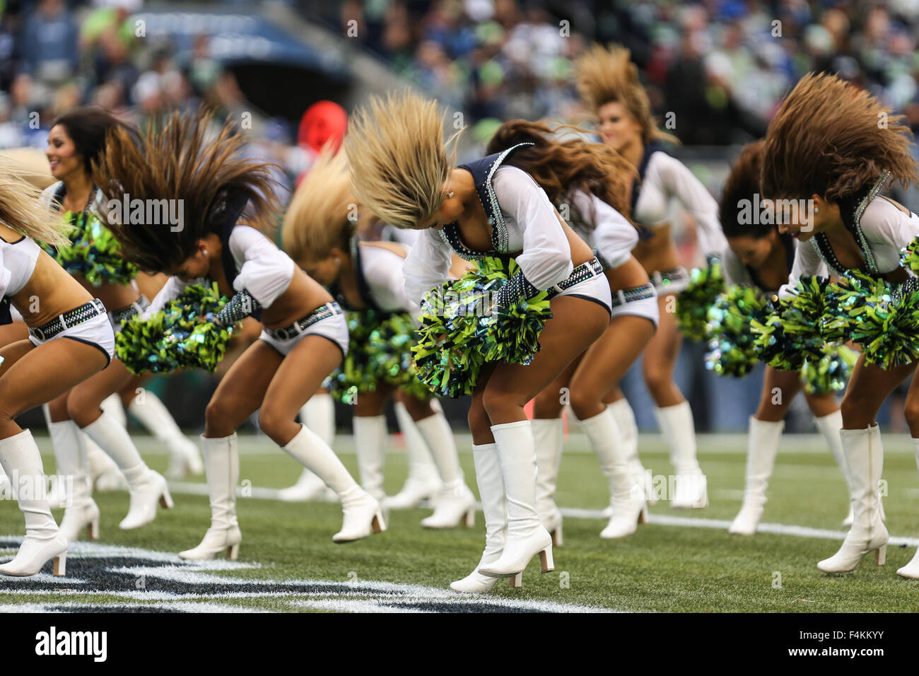 The Seagals entertain the fans. The Seattle Seahawks played The ...