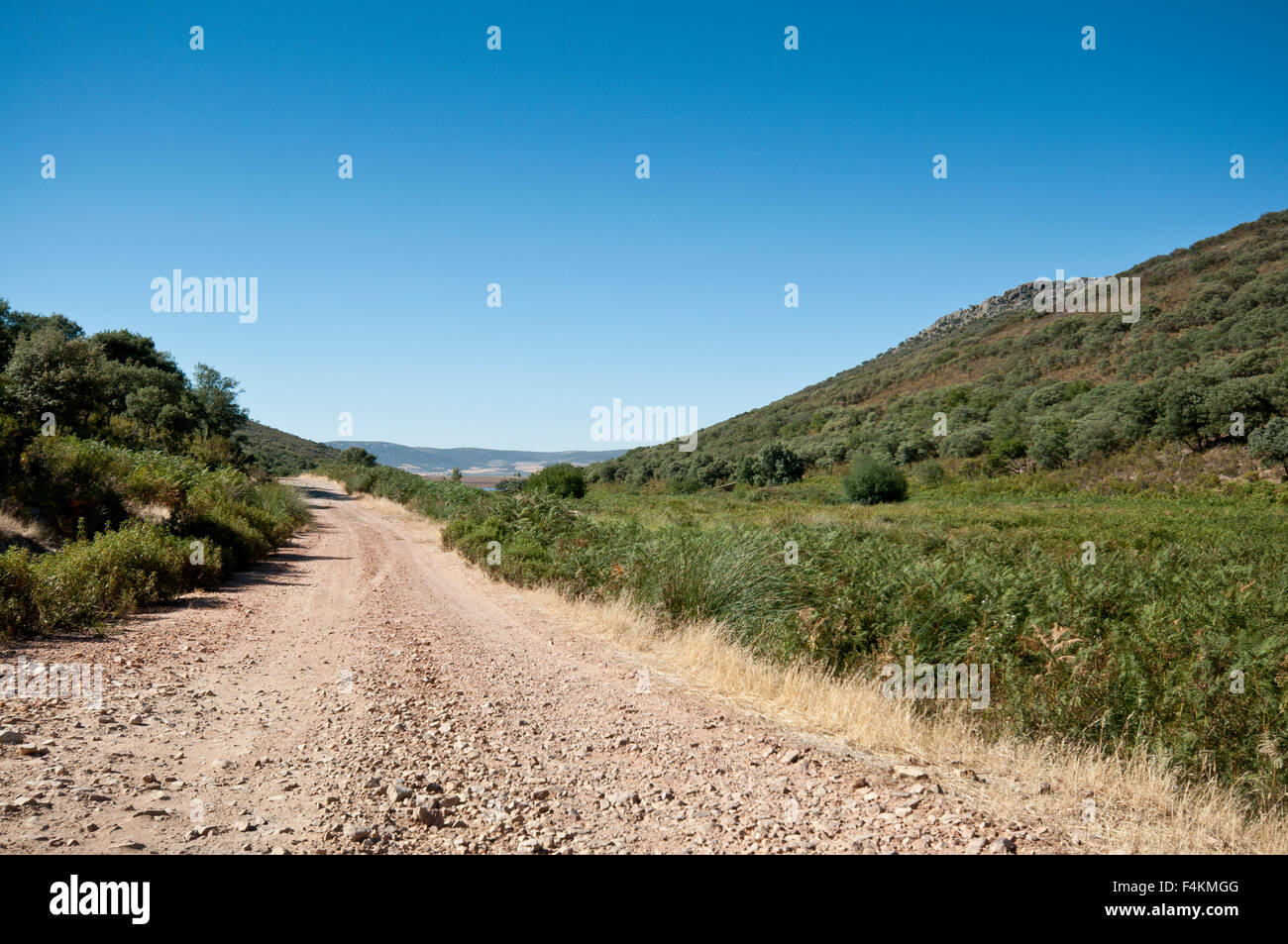 Scrubland ecosystem hi-res stock photography and images - Alamy