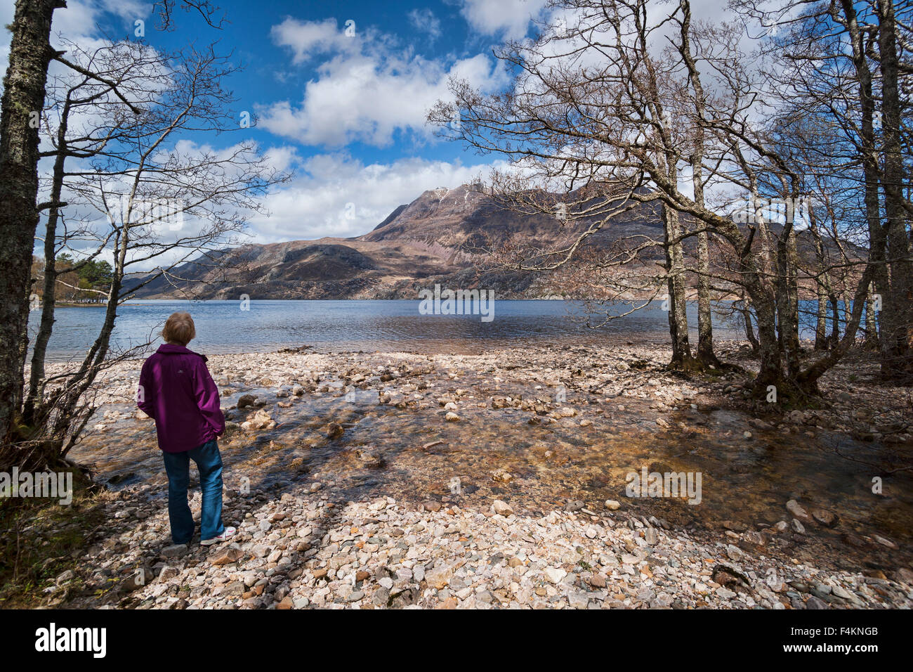 Looking across Loch Maree near Kinlochewe, Highland region, Scotland ...