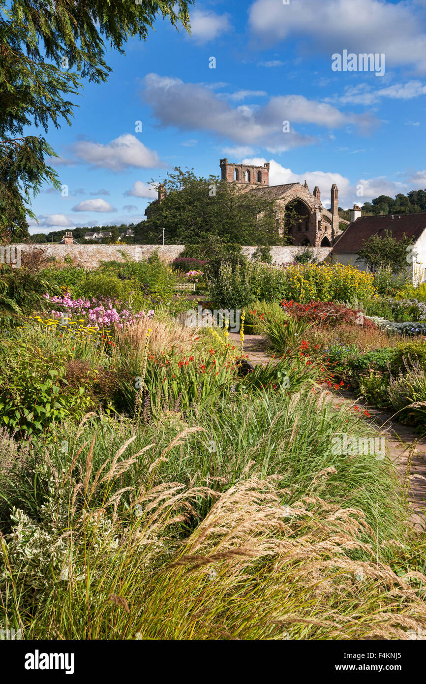Melrose Abbey from Harmony gardens, Borders Region, Scotland Stock ...