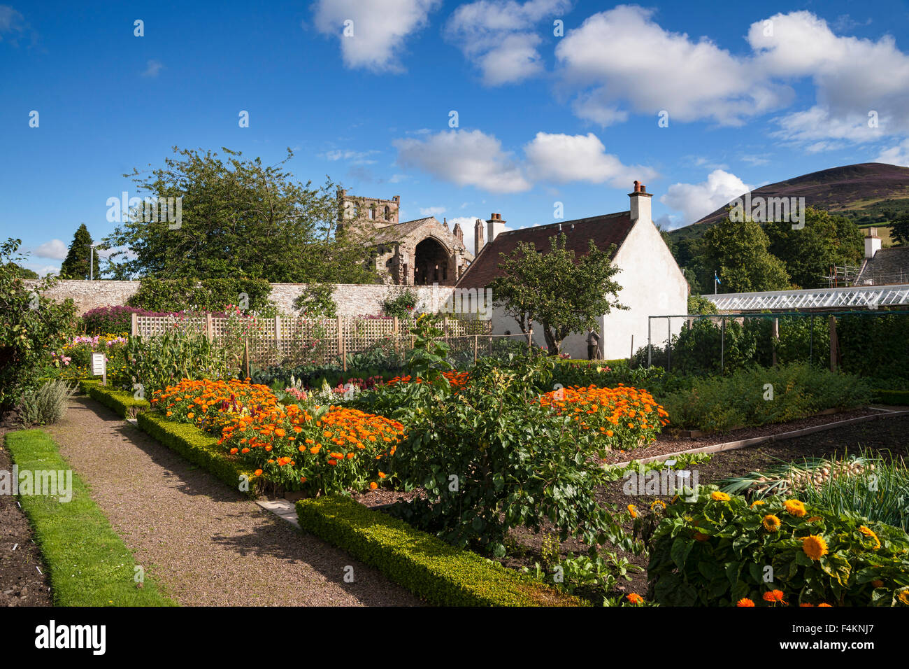 Melrose Abbey from Harmony Gardens, Borders Region, Scotland Stock ...