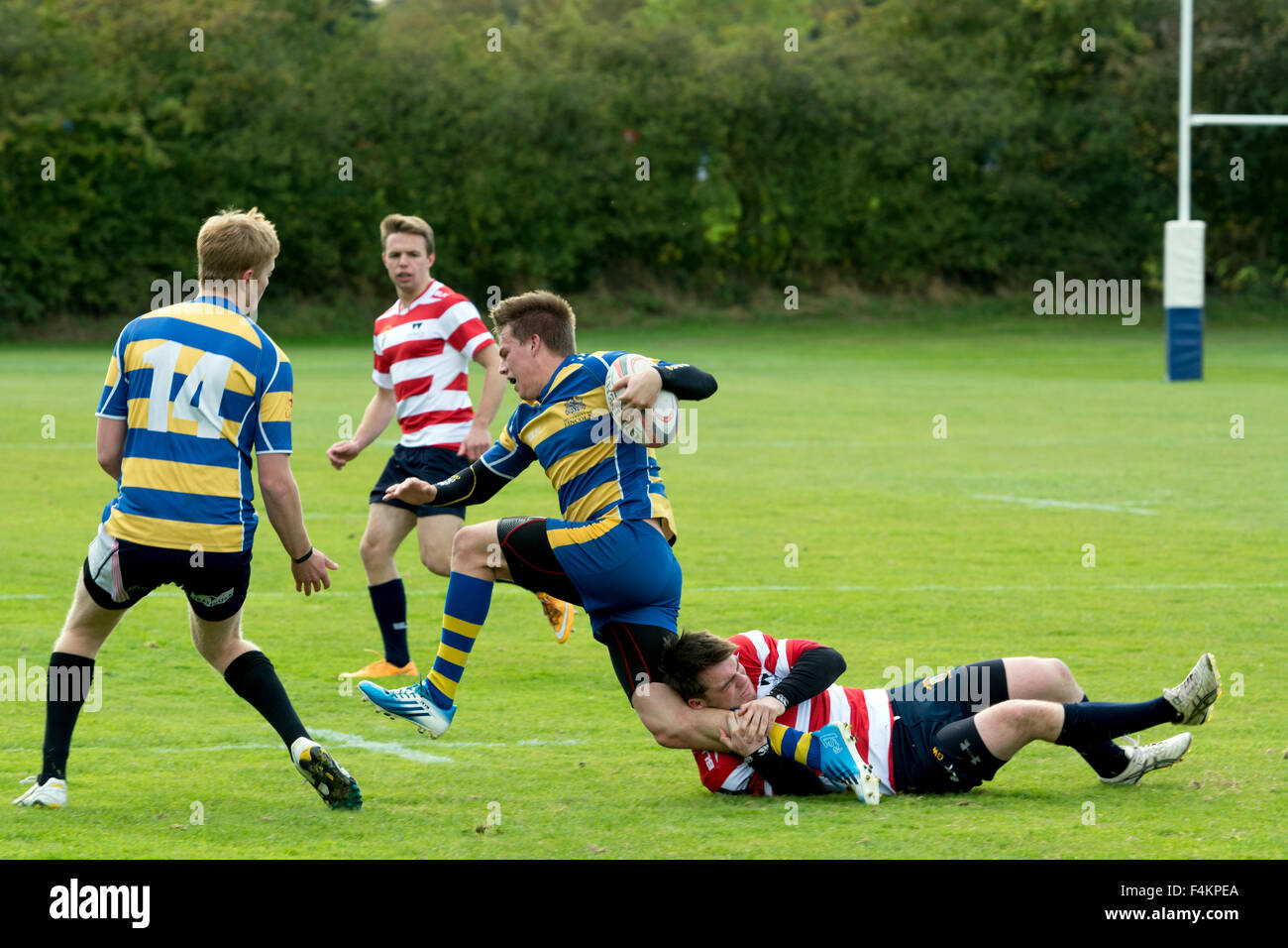 Sport rugby union action tackle hi-res stock photography and images - Alamy