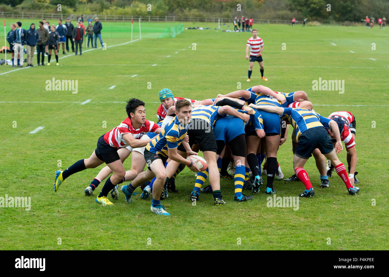 University sport - men`s Rugby Union at Warwick University, UK Stock ...