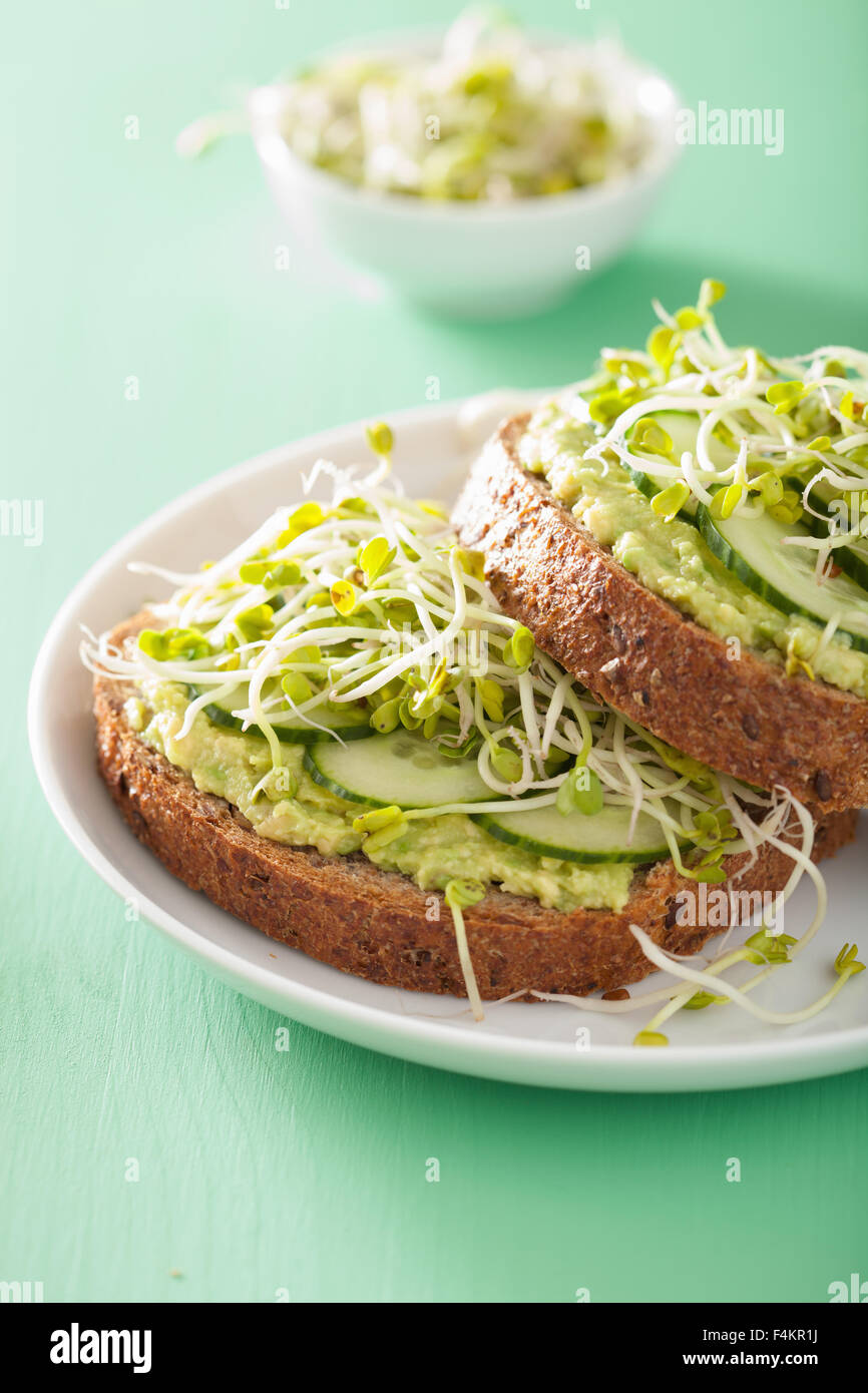 healthy rye bread with avocado cucumber radish sprouts Stock Photo - Alamy